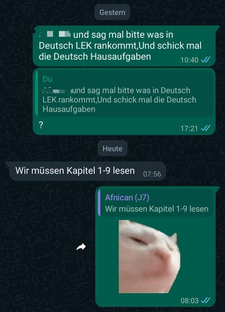 Wie teile ich mir das am besten ein? (Boy2Girl Buch lesen bis Kapitel 9 ...