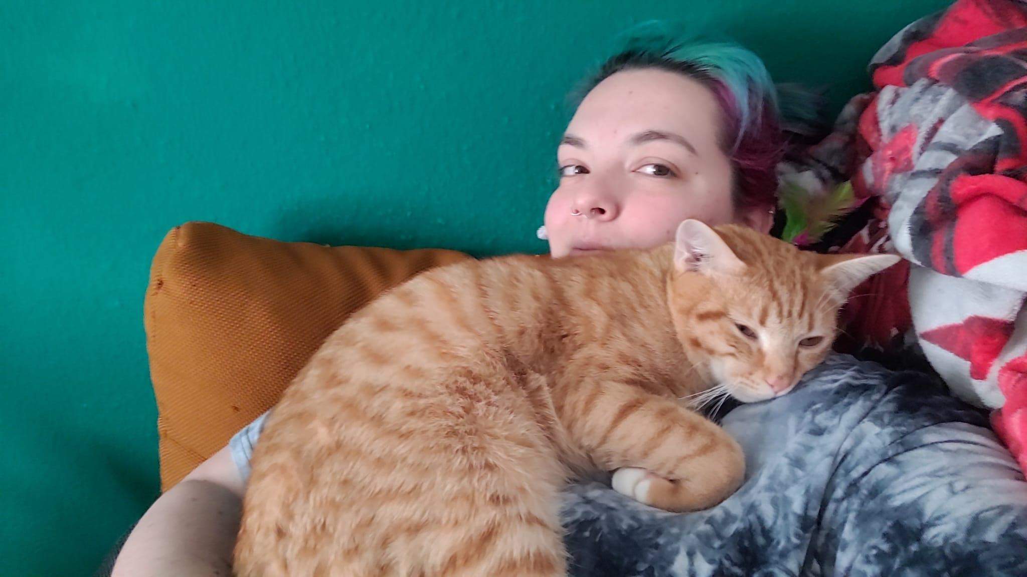 Wieso gehen meine Katzen nicht zu meiner Frau? (Kater, Hauskatze ...