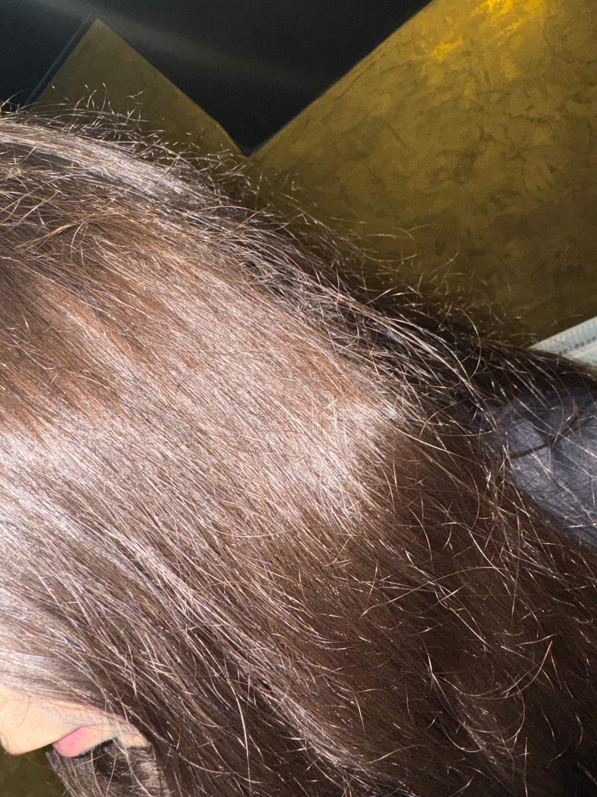 Wieso sehen meine Haare so aus? (Mädchen, Frauen, Männer)