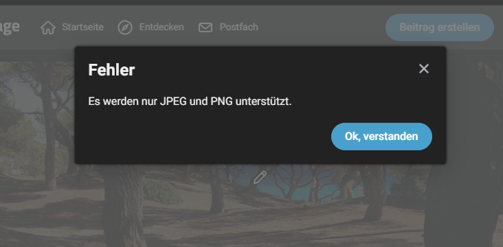 Wieso wird angegeben dass GIF's nicht als Profilbild erlaubt sind, und ...