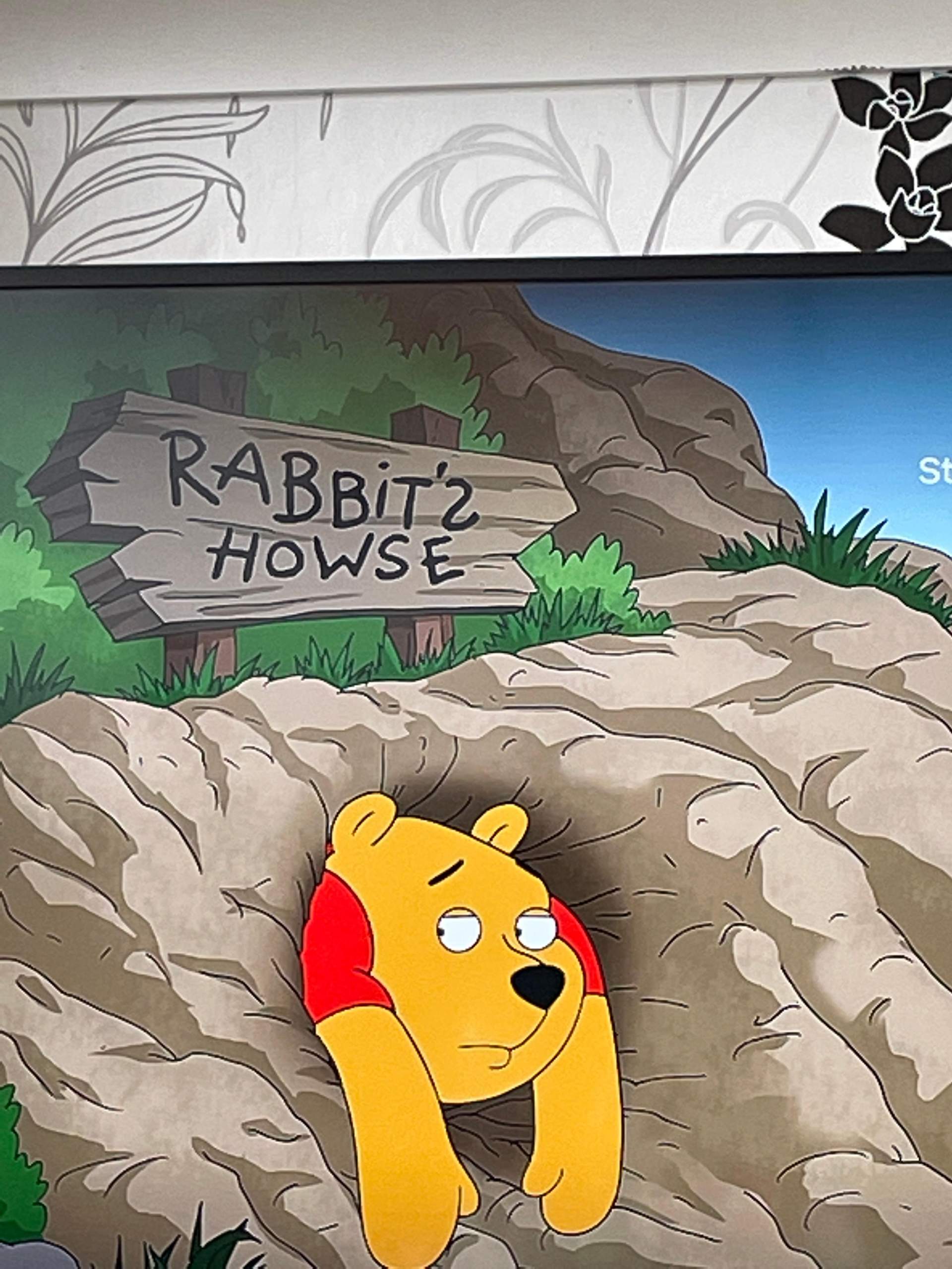 Wieso wird bei einigen Cartoons im englischen Wörter falsch geschrieben ...