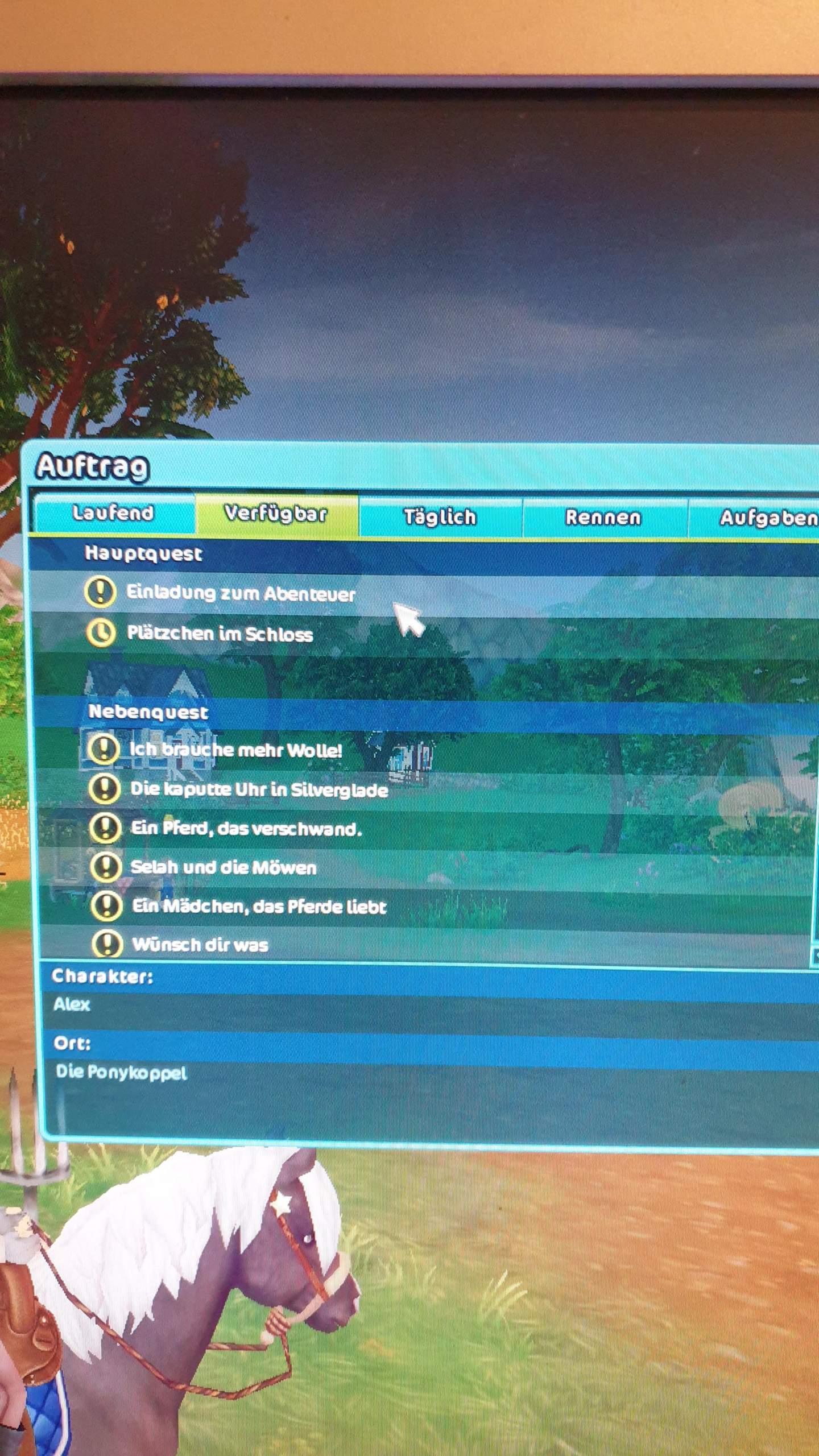 Wo ist Alex von der Ponykoppel in Sso? (Computer, Spiele und Gaming, Filme und Serien)