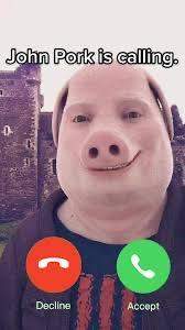 Woher kommt der Meme: John Pork is calling? (YouTube, Instagram, TikTok)