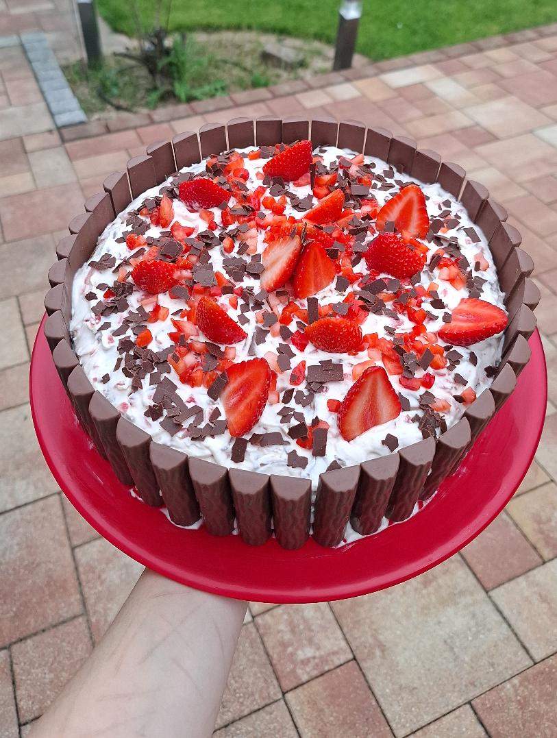 Würdet ihr die Torte essen? (Rezept, backen, Süßigkeiten)