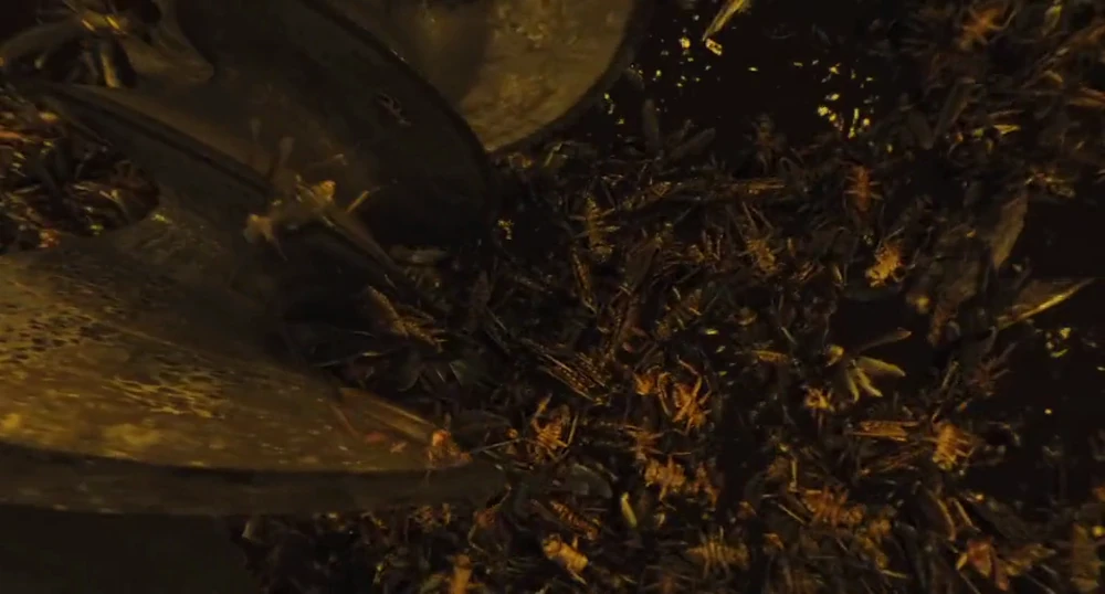 Würdet ihr Proteinriegel wie von Snowpiercer essen, die aus ...