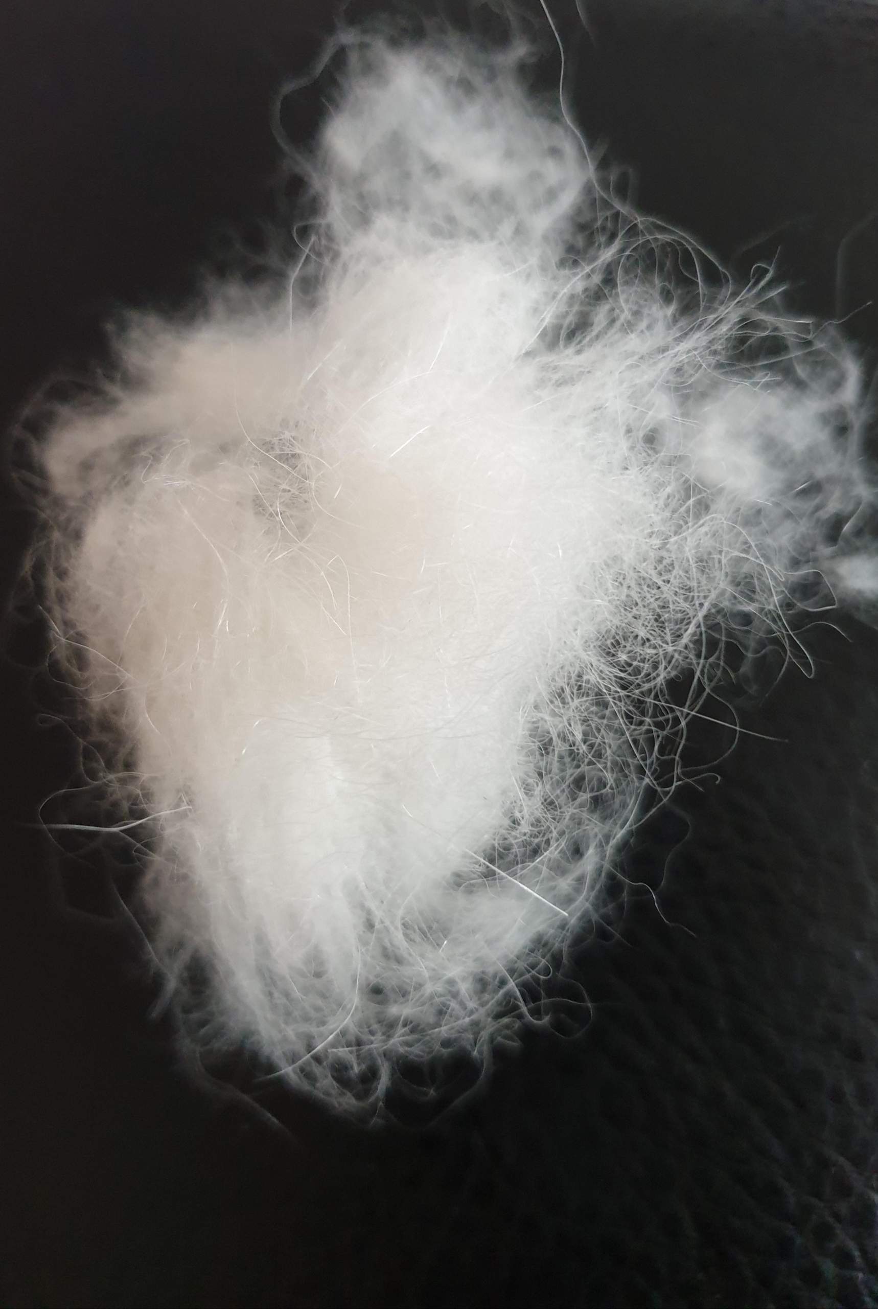 Zu welchem Tier gehört dieses Fell? (Tiere, tierfell)