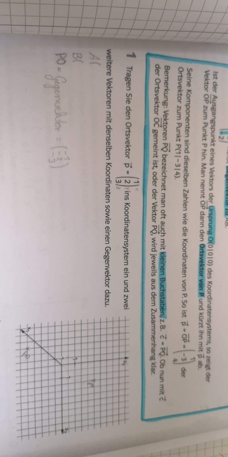 Zwei weitere Vektoren mit den selben Koordinaten? (Schule, Mathematik)